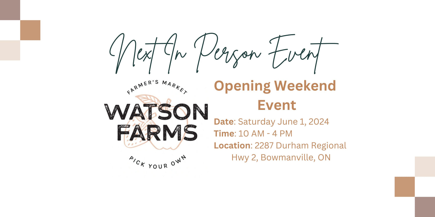 Beam Creative Designs